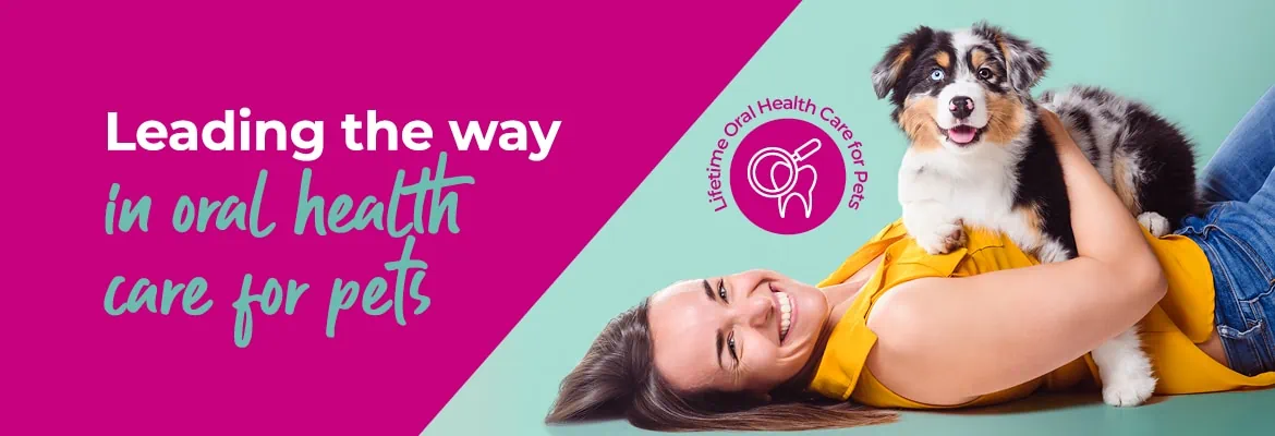 Vets in Farnham | Vets in Aldershot | Cathcart & Winn Veterinary Clinic