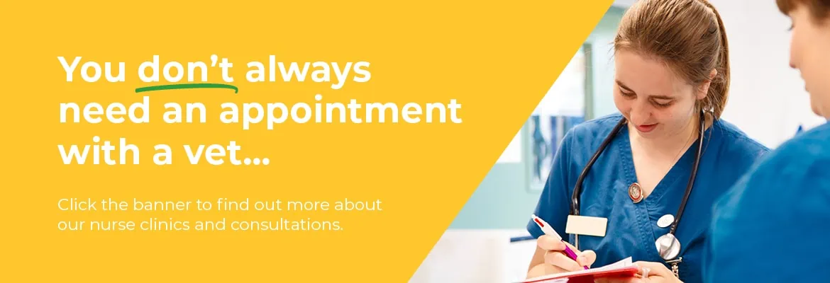 Vets in Farnham | Vets in Aldershot | Cathcart & Winn Veterinary Clinic